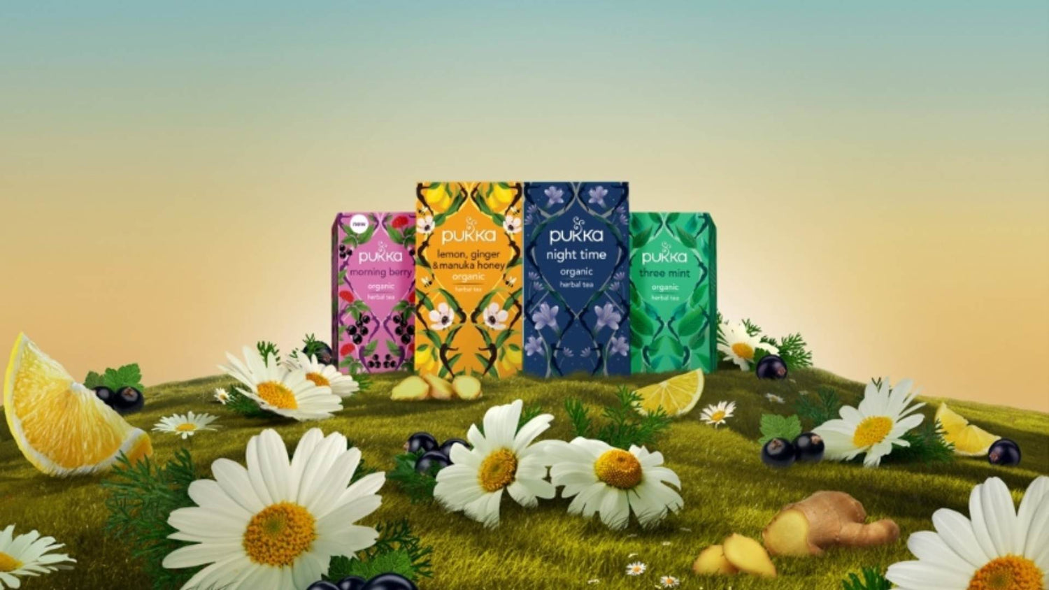 Shop Pukka Teas | The Good Stuff – THE GOOD STUFF
