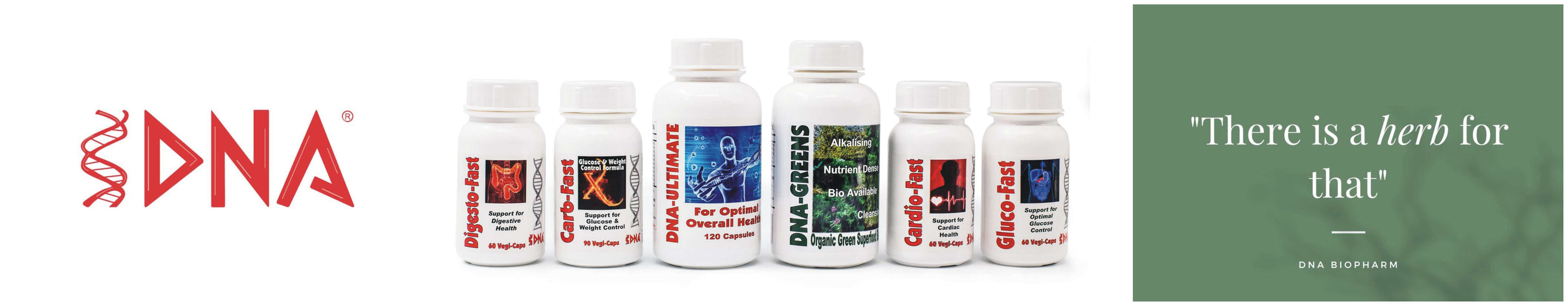 Herbal Remedies for Diabetes, Wound Care, and More – THE GOOD STUFF