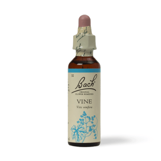 BACH Vine Flower Essence | The Good Stuff – THE GOOD STUFF